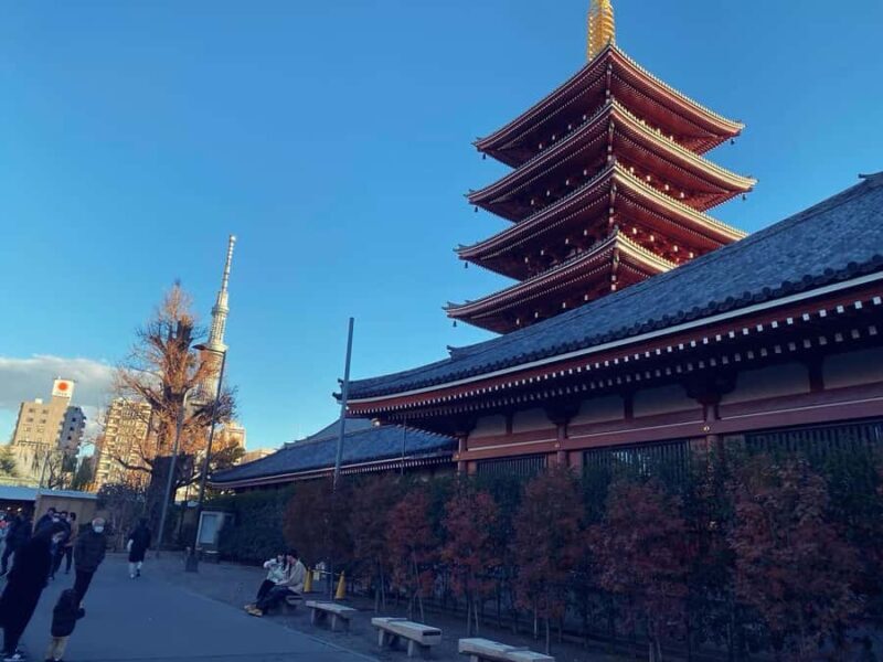 Tokyo Private One-Day Tour  Local Driver - The Breakdown: What Makes This Tour a Good Choice