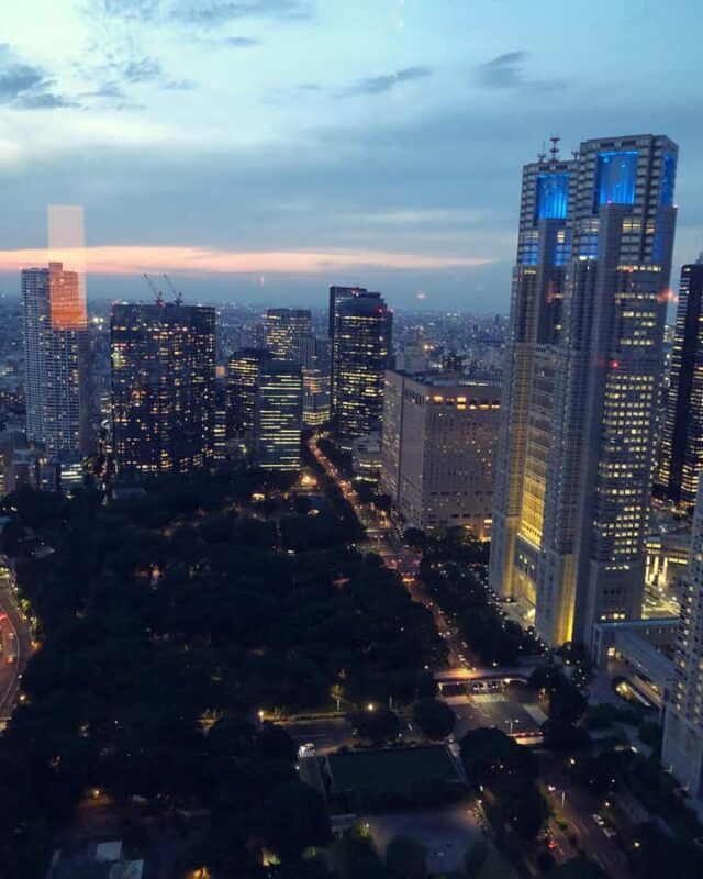 Tokyo Private One-Day Tour  Local Driver - The Sum Up: Who Would Benefit Most from This Tour