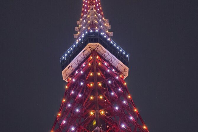 Tokyo Private One-Day Tour Local Driver - FAQ