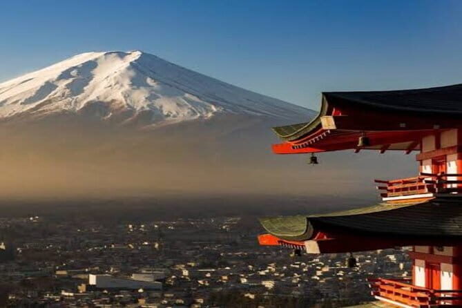 Tokyo Private One Way Transfer to Warner Bros Studio - Who Should Consider This Service?