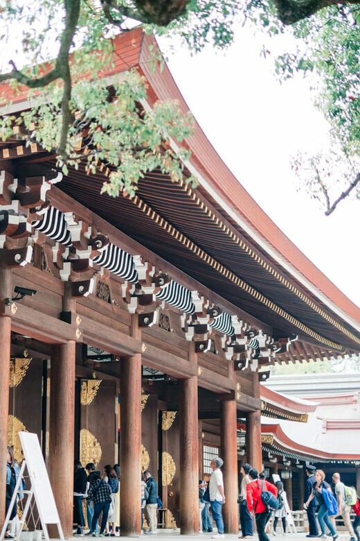 Tokyo: Private Shinto Shrines Tour by Car with Local Guide - Who Should Consider This Tour?
