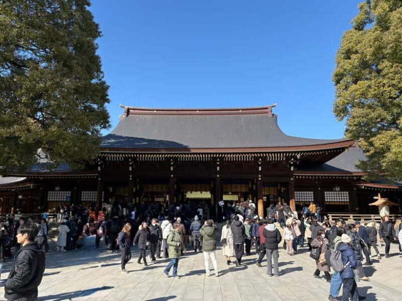 Tokyo: Private Shinto Shrines Tour by Car with Local Guide - FAQ: Your Practical Questions Answered