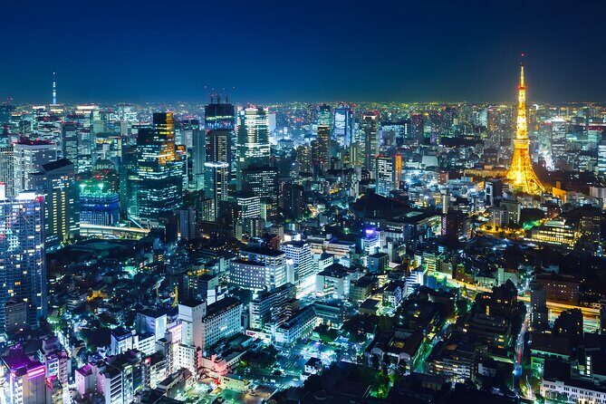 Tokyo Private Sightseeing Tour by Car and English Speaking Driver - Key Points