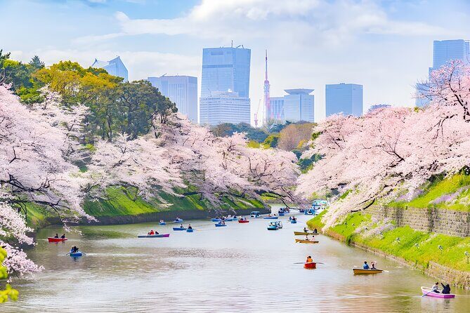 Tokyo Private Sightseeing Tour by Car and English Speaking Driver - The Value of a Private Tour in Tokyo