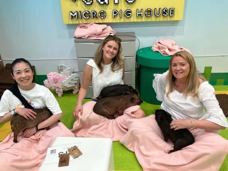 Tokyo Private Tour  A Warm and Personal Day - An Authentic, Relaxed Day in Tokyo