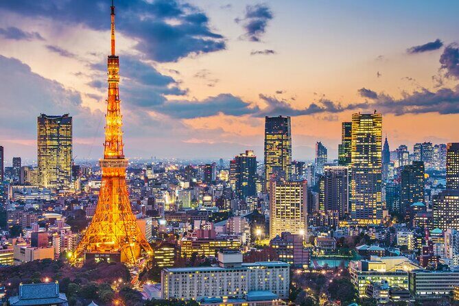 Tokyo Private Tour by Car/Van with English Speaking Driver - Key Points