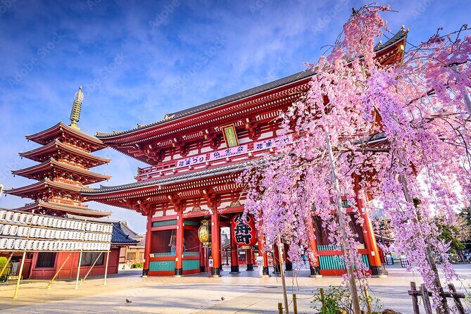 Tokyo Private Tour by Car/Van with English Speaking Driver - Who Is This Tour Best For?