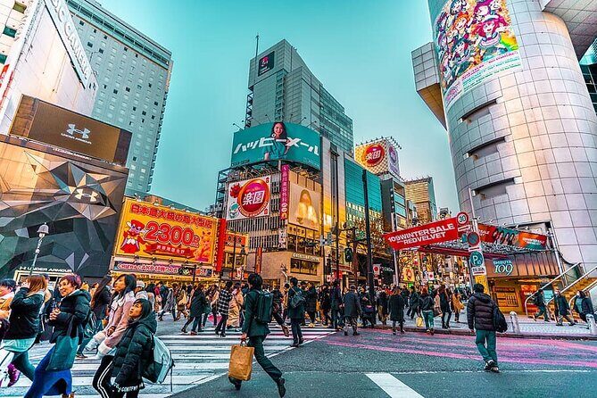 Tokyo Private Tour by Car/Van with English Speaking Driver - Frequently Asked Questions