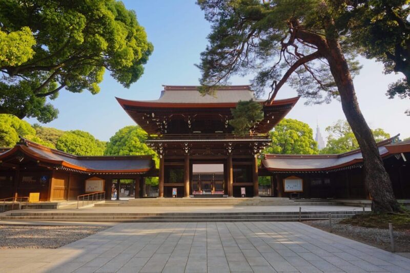 Tokyo Private Tour by Car/Van with English Speaking Driver - What’s Included and What’s Not