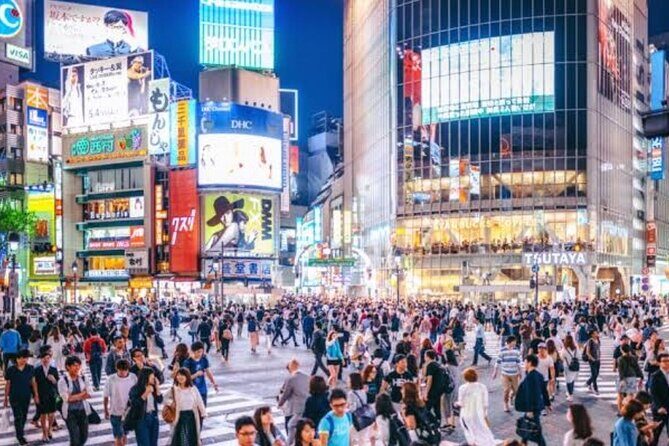 Tokyo Private Tour by Car with English speaking driver - The Itinerary in Detail