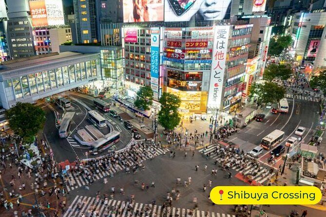 Tokyo Private Tour by Car with English-Speaking Driver (Premium) - Practical Considerations