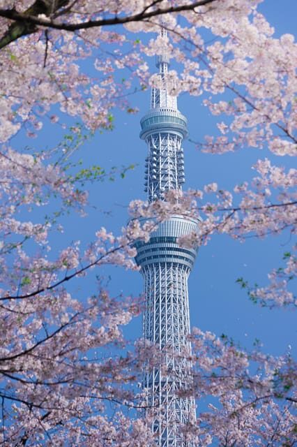 Tokyo private tour by car with pick up - Is It Worth the Cost?