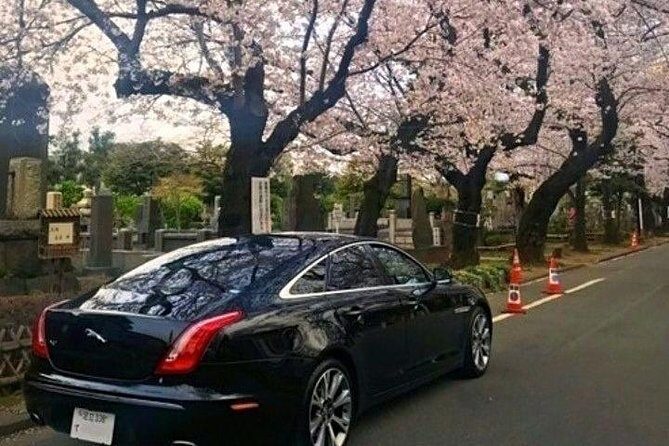 Tokyo Private Tour by Vehicle with English-Speaking Chauffeur - Who Is This Tour Best For?