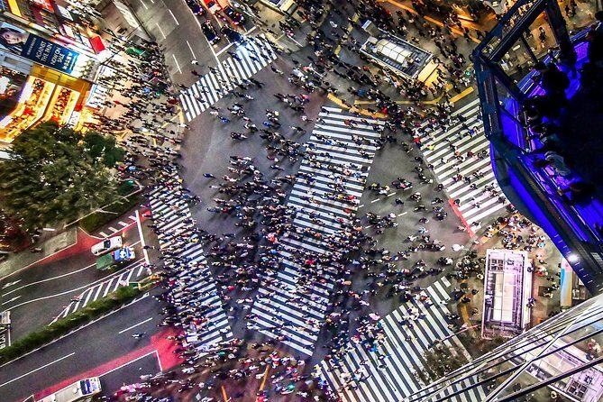 Tokyo Private Tour by Vehicle with English-Speaking Chauffeur - FAQ: Your Quick Guide to the Tokyo Private Chauffeur Tour