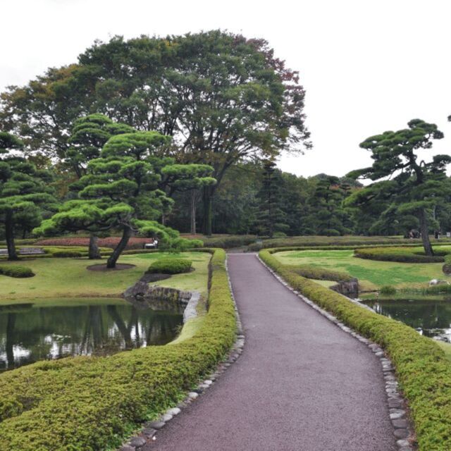 Tokyo Private Tour  Custom Itinerary & Hotel Pickup - Who Should Consider This Tour?