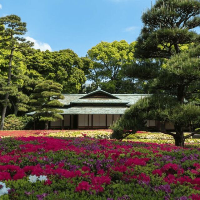 Tokyo Private Tour  Custom Itinerary & Hotel Pickup - Frequently Asked Questions