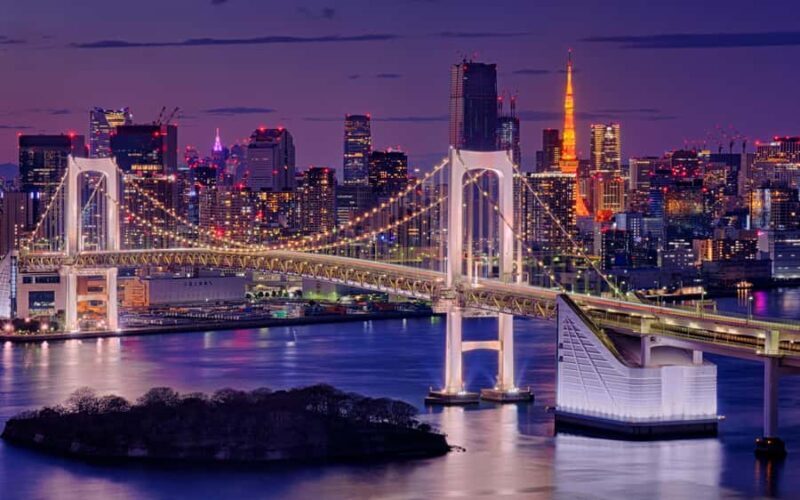Tokyo Private Tour Discover the Best of Japans Capital - Key Points