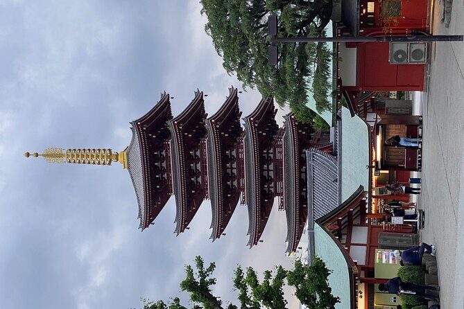 Tokyo Private Tour: English Guide Driver, Minibus with Aircon - Practical Details: What You Need to Know