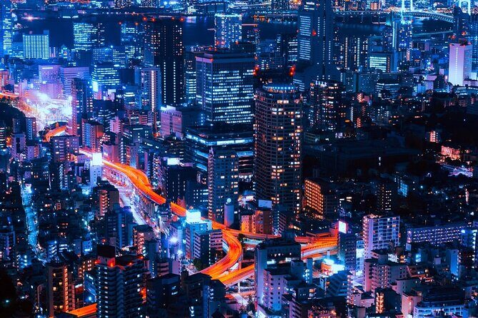 Tokyo Private Tour: English Guide Driver, Minibus with Aircon - Who Will Love This Tour?