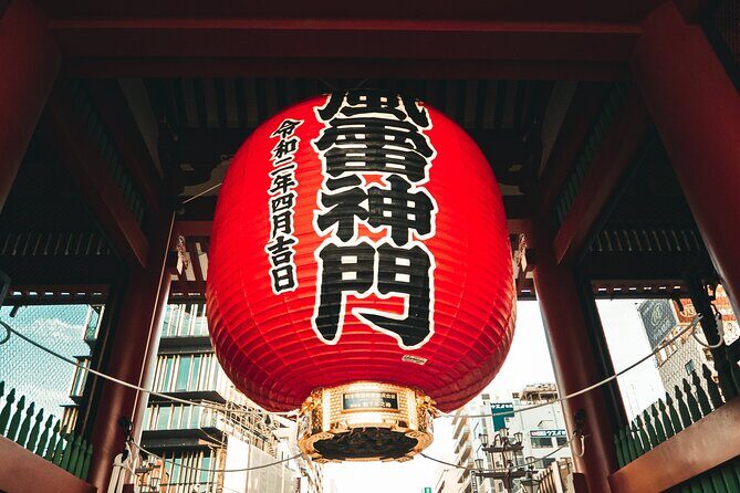 Tokyo Private Tour GREEN NUMBER PLATES - Who Should Consider This Tour?