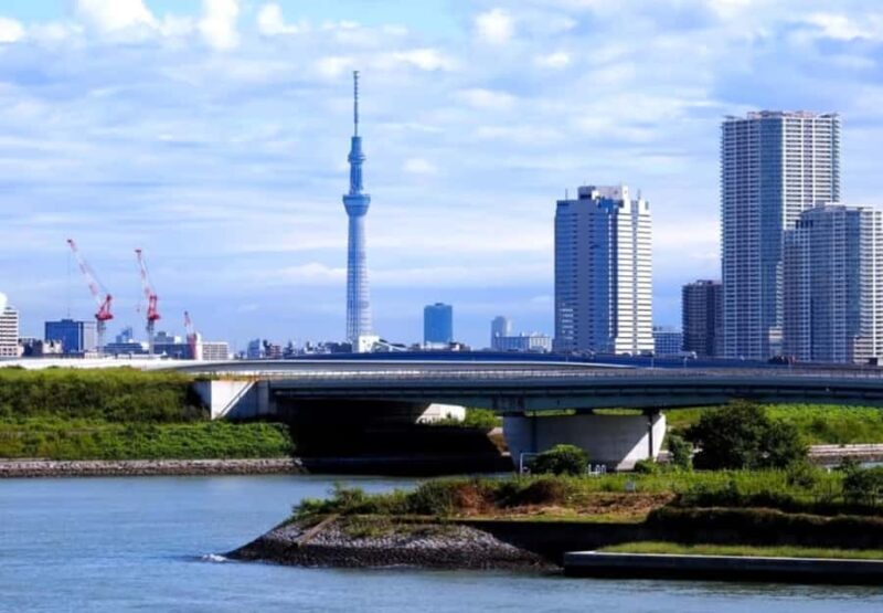 Tokyo Private Tour: Guide, Meals & Transfers Included - Key Points