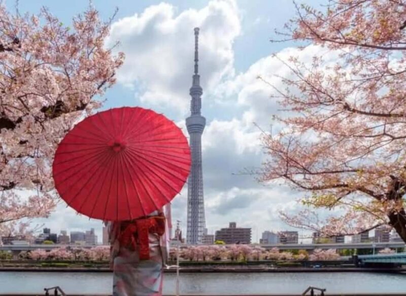 Tokyo Private Tour: Guide, Meals & Transfers Included - FAQs