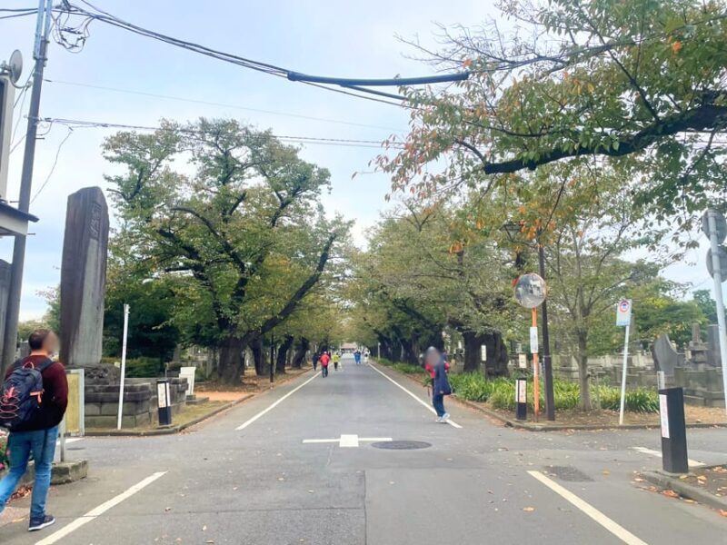Tokyo: Private tour of Beckoning Cat Painting at Yanaka - What Travelers Are Saying