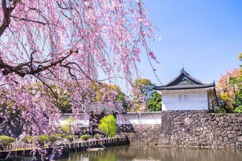 Tokyo: Private Tour of the Imperial Palace East Gardens - Exploring Tokyo’s Imperial Palace East Gardens: A Practical Guide
