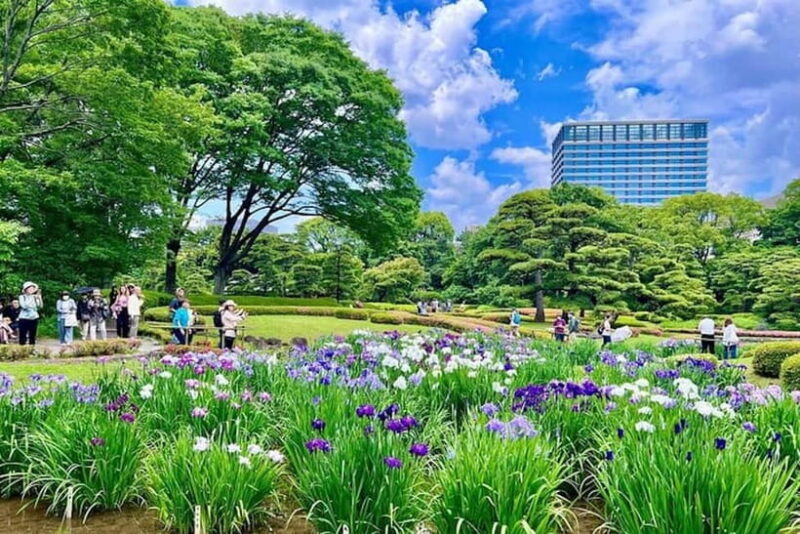 Tokyo: Private Tour of the Imperial Palace East Gardens - The Sum Up