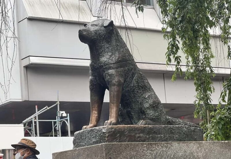 Tokyo: Private Tour of Tokyo - A Closer Look at the Itinerary