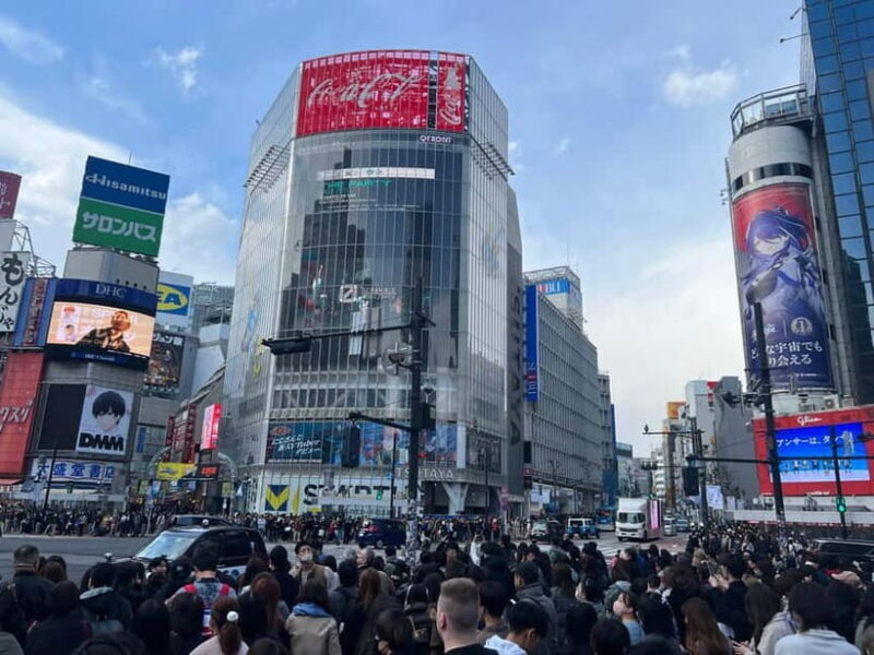 Tokyo: Private Tour of Tokyo - Who Is This Tour Best For?