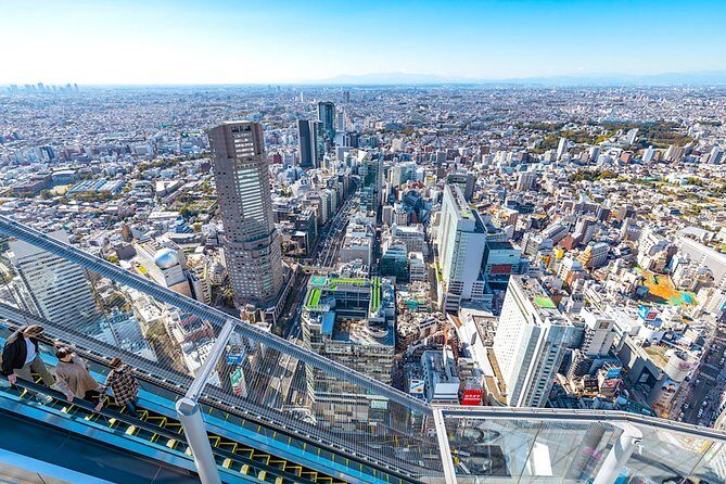 Tokyo Private Tour: One Day Highlights and Optional Shibuya Sky - Key Points