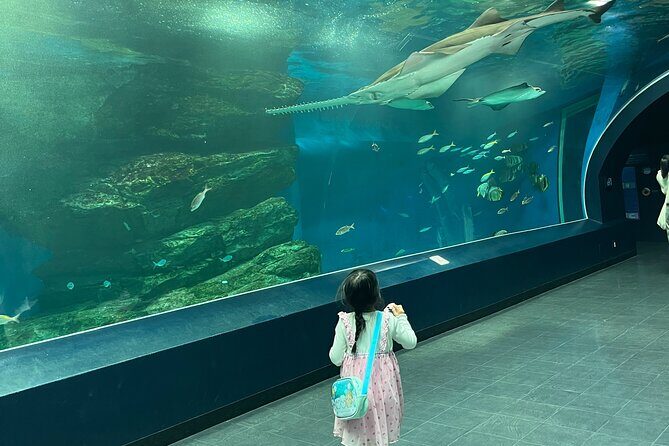 Tokyo Private Tour with a Kid~Friendly Guide - Introduction: A Personalized Tokyo Adventure for Families