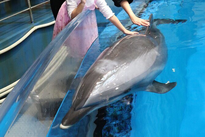 Tokyo Private Tour with a Kid~Friendly Guide - Key Points