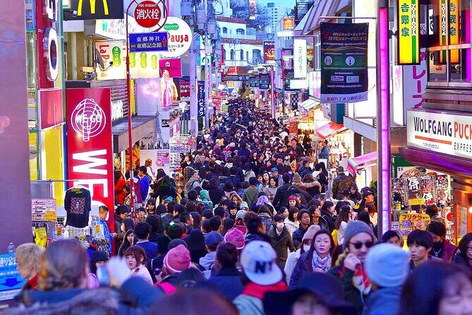 Tokyo Private Tour with an English speaking driver - A Closer Look at the Tokyo Private Tour with an English-Speaking Driver