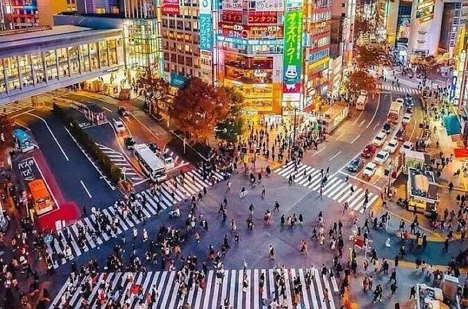 Tokyo Private Tour with an English speaking driver - Who Will Love This Tour?