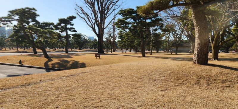 Tokyo Private Tour With English Speaking Driver - A Personalized Day in Tokyo with a Private Driver