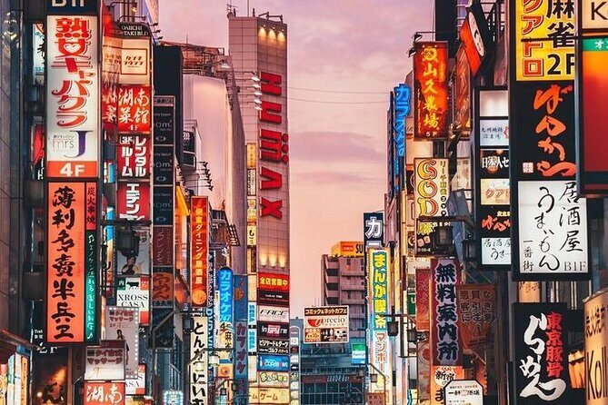 Tokyo Private Tour with English Speaking Driver Customizable - Analyzing the Value