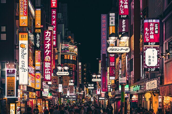 Tokyo Private Tour with English Speaking Driver Customizable - The Sum Up: Who Should Book This Tour?