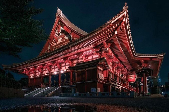 Tokyo Private Tour with Luxury Van - Who Should Consider This Tour?