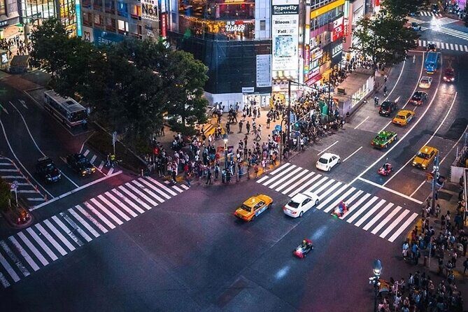 Tokyo Private Tour with Luxury Van - Final Thoughts