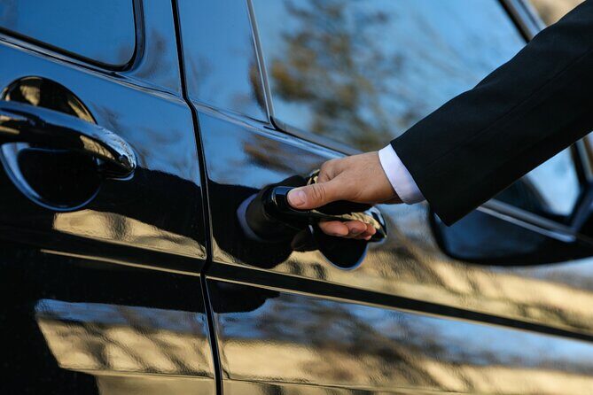 Tokyo Private Tour with Transportation and English Guide - The Cultural and Interaction Experiences