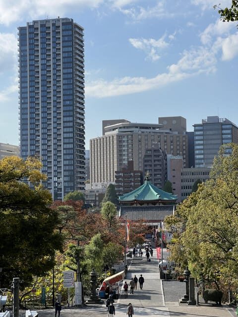 TOKYO Private visit guide Speaking French - Experience Overview and What to Expect