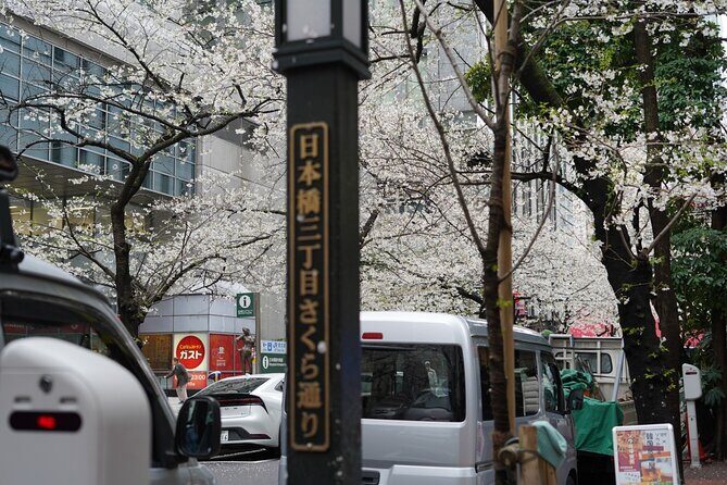 Tokyo Private Walking Tour - Key Points