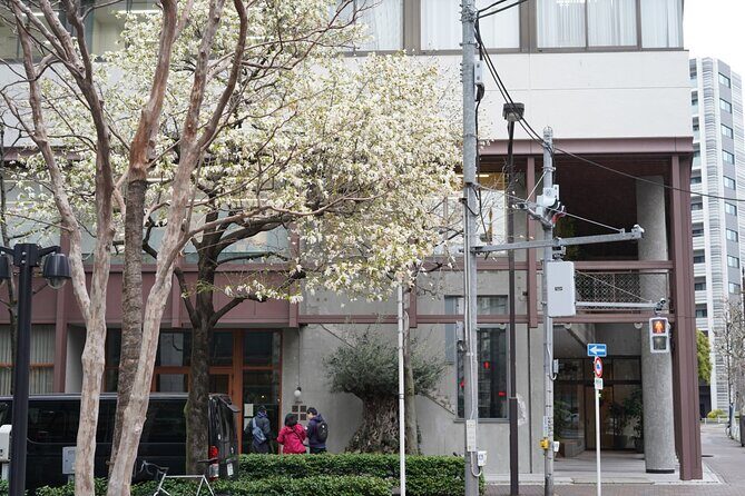 Tokyo Private Walking Tour - FAQ