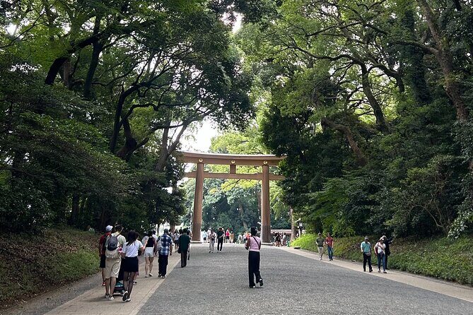 Tokyo Private Walking Tour Shibuya, Harajuku and Meiji Jingu - Who Will Love This Tour?