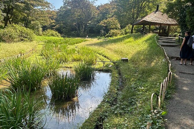 Tokyo Private Walking Tour Shibuya, Harajuku and Meiji Jingu - Final Thoughts