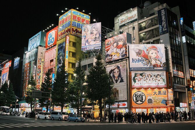 Tokyo: Private Walking Tour with a Local Guide - Who Should Consider This Tour?
