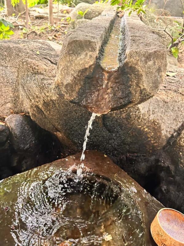 TOKYO: Professional Gardener Guides Gardens by E-bike -LIGHT - Final Thoughts