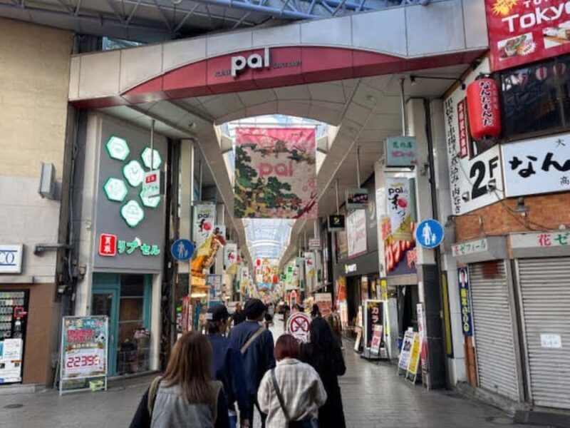 Tokyo Retro Vibes and Izakaya Tour in KOENJI - Key Points